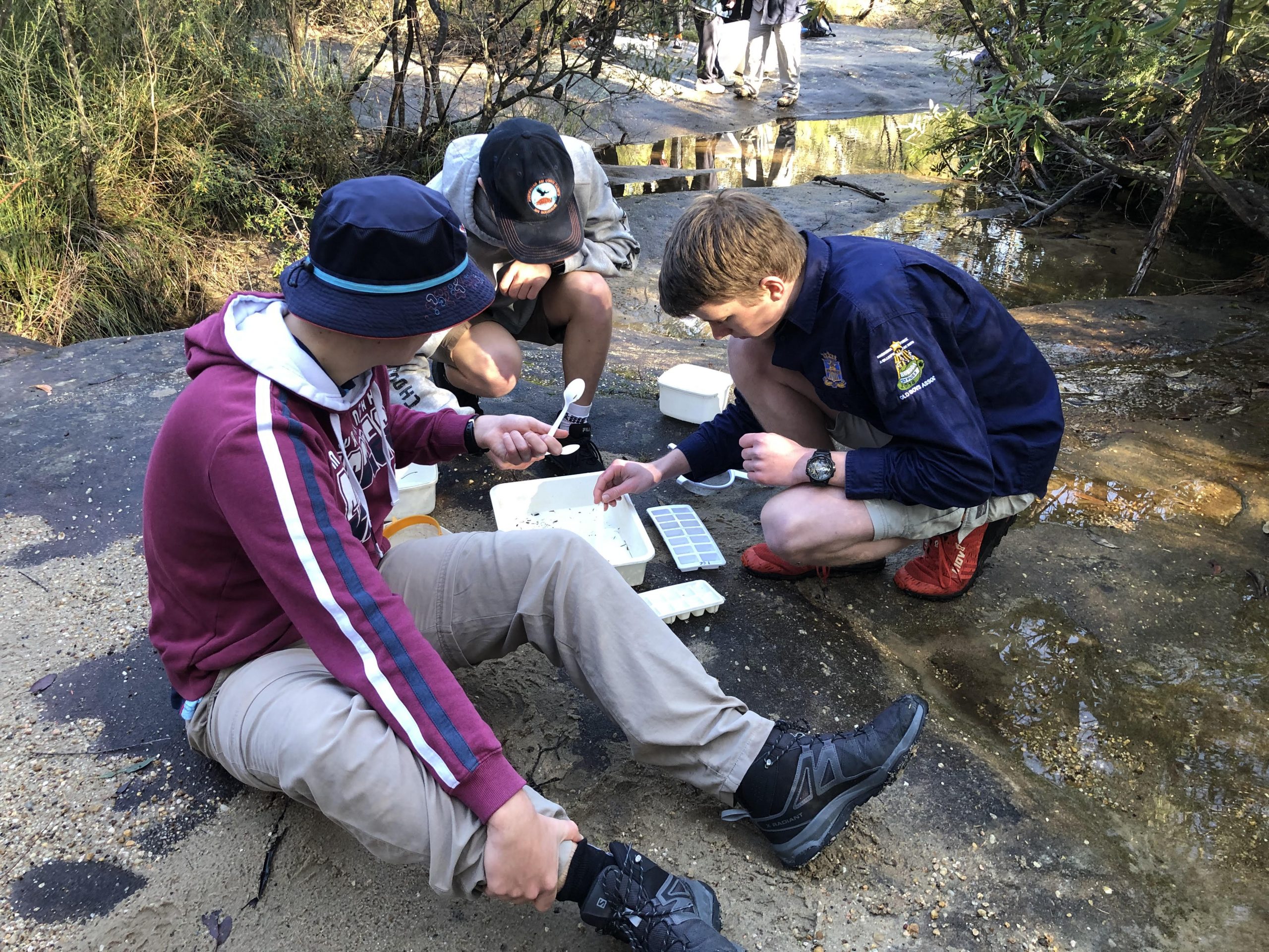 Ingleside Environment Centre Scout Fellowship - Sydney North Region Scouts